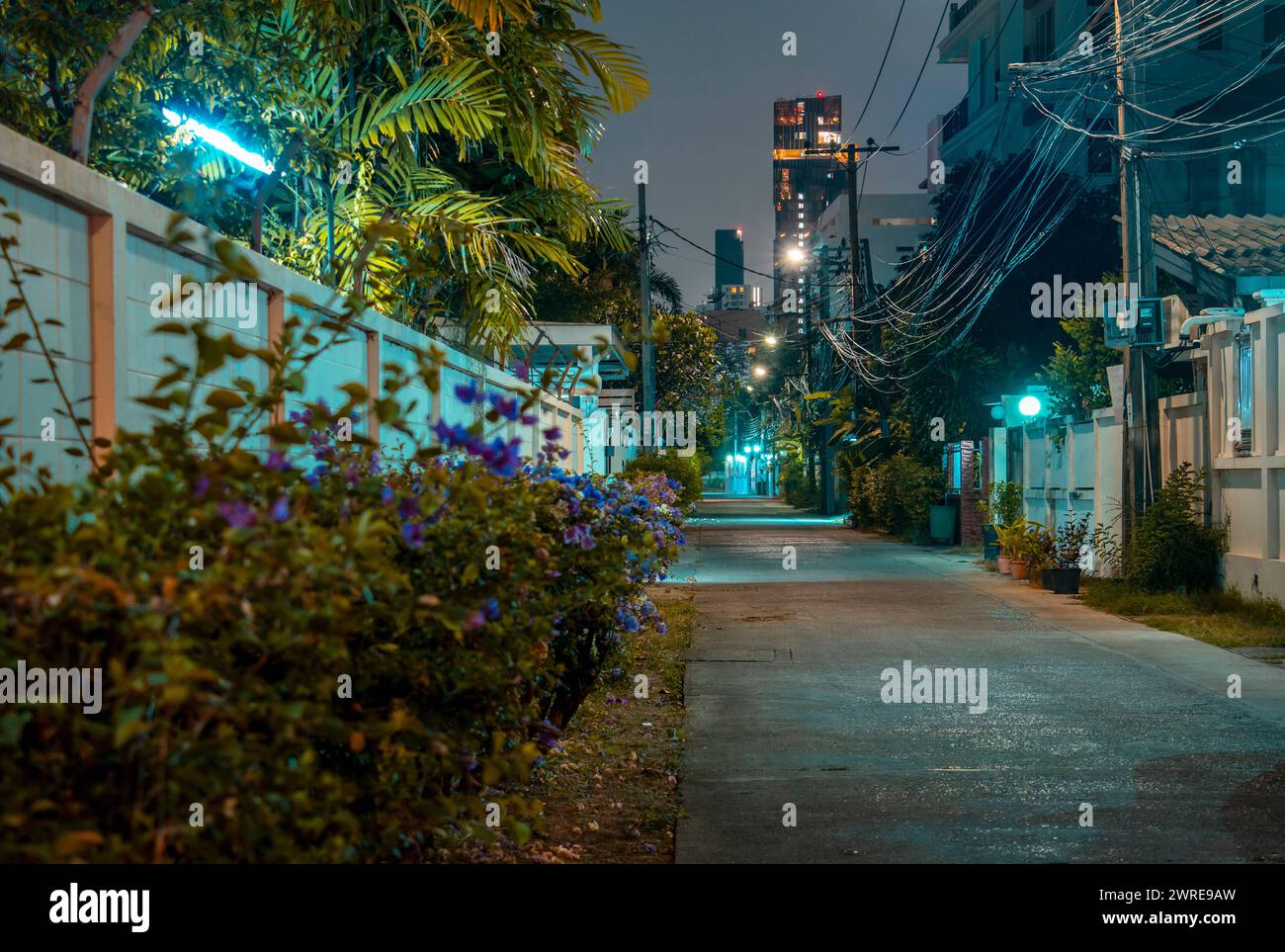 A quiet street at night with a house on the right. The street is lined ...