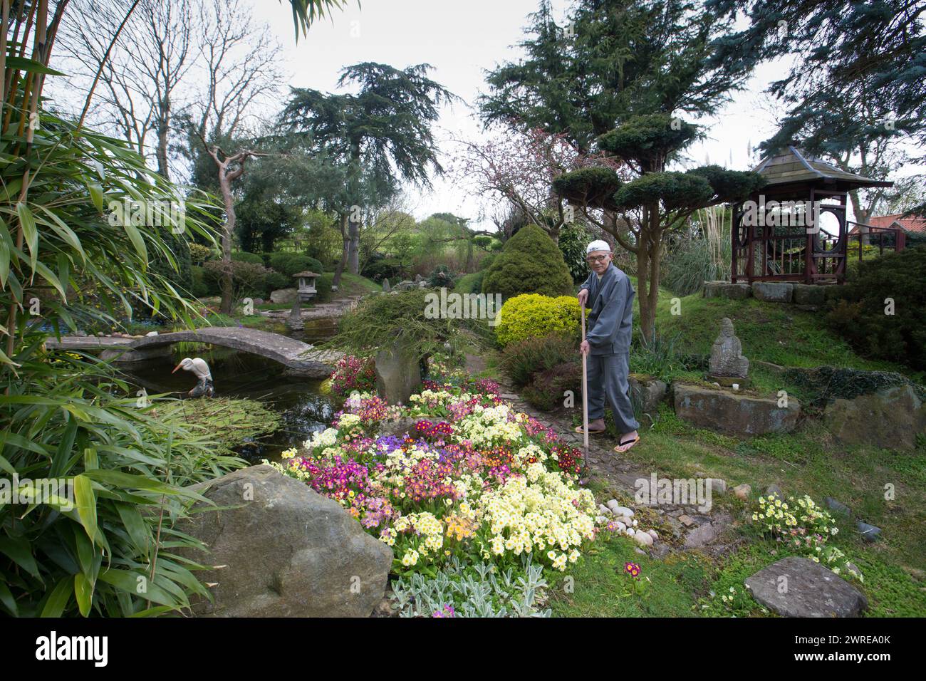 22/04/16 Japanese garden, near Newark, Nottinghamshire. Full story here ...