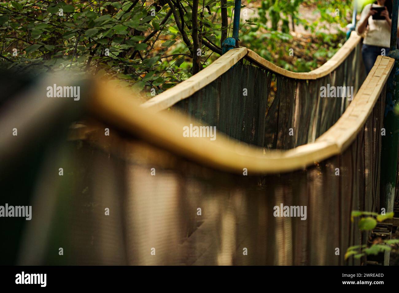 Old wooden bridge with guard rails over a small river in a forest ...