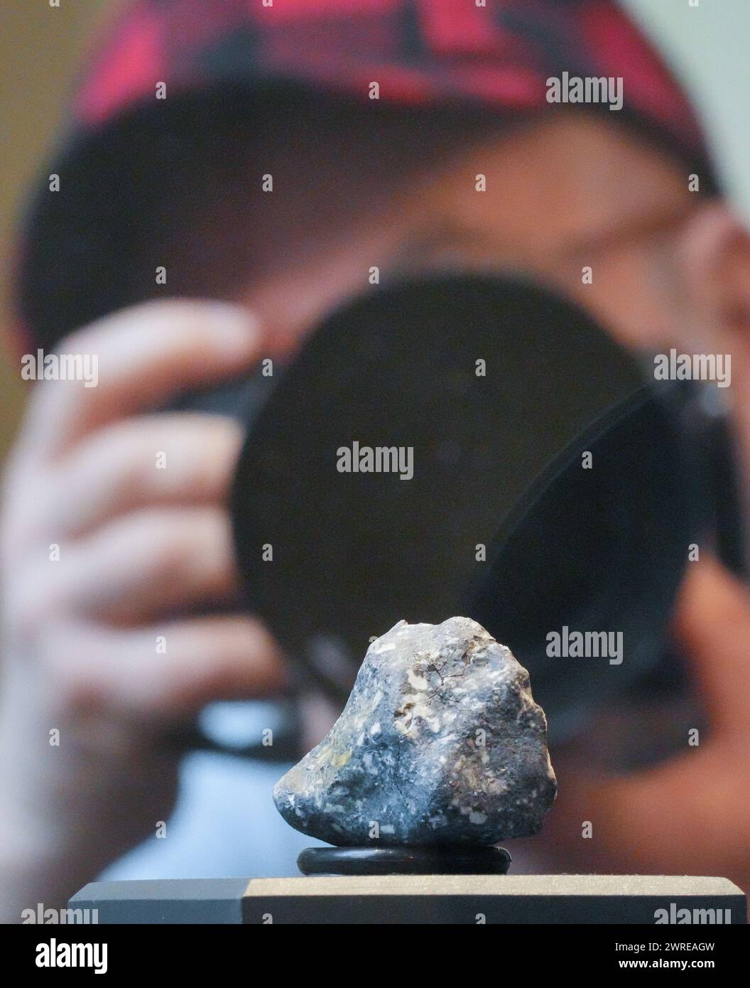 Berlin, Germany. 12th Mar, 2024. A photographer takes a picture of one ...