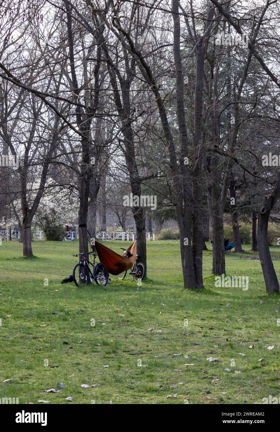 10 march 2024, Skopje, North Macedonia - Central Park activity for ...