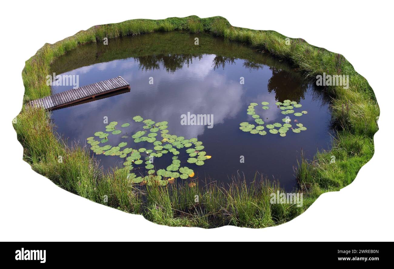 Wet pier Cut Out Stock Images & Pictures - Alamy