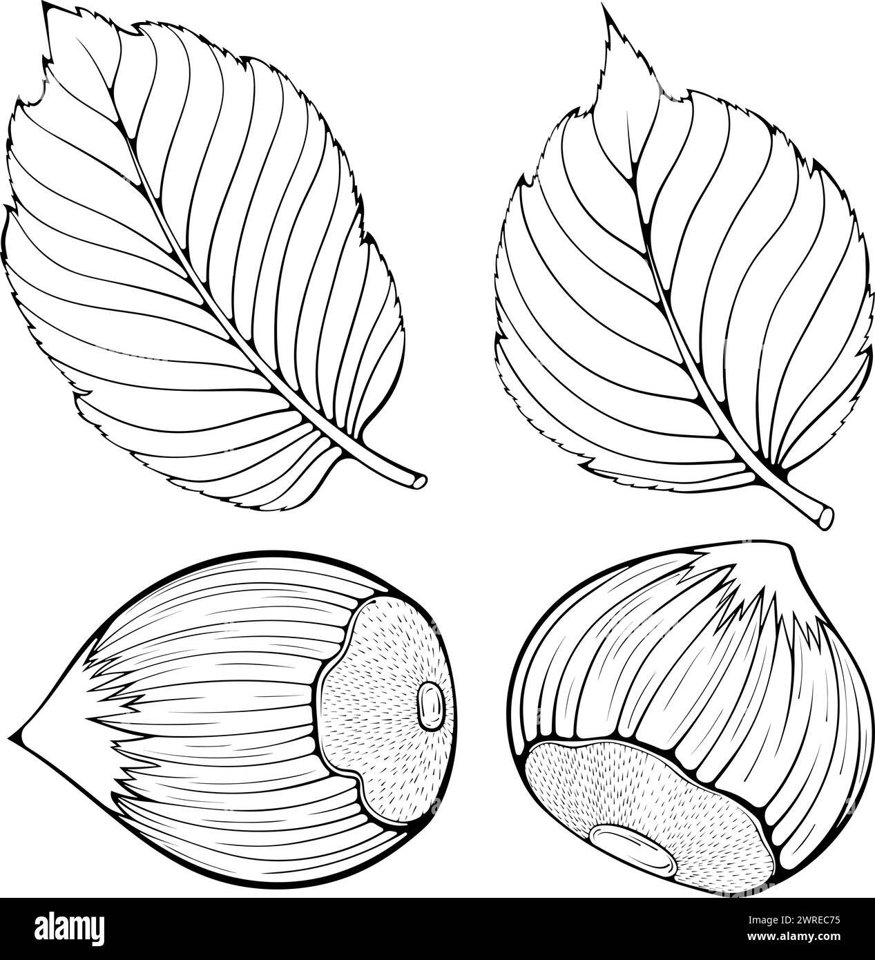 Doodle outline set whole Black and White Stock Photos & Images - Alamy