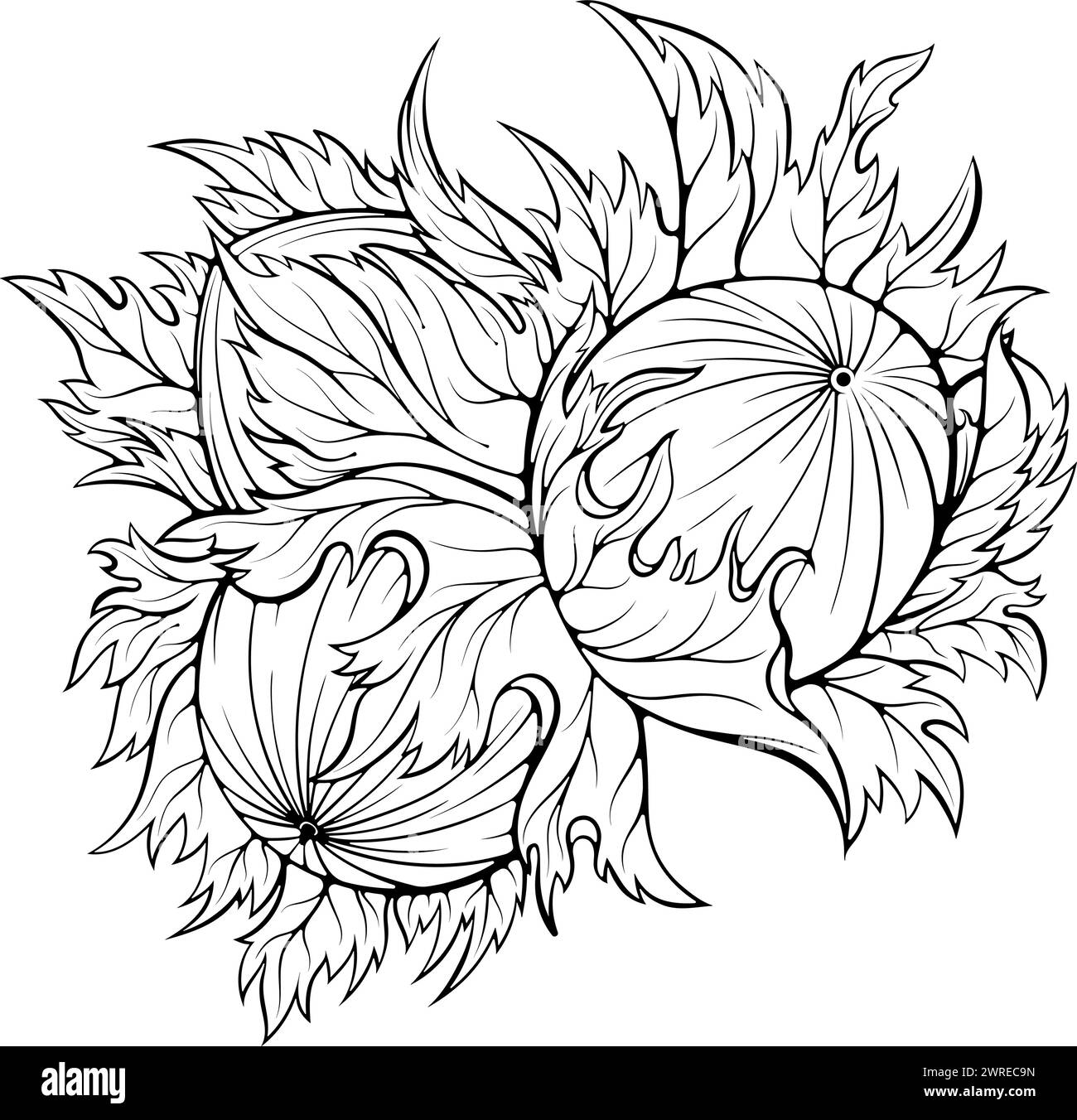 Hazelnuts tree plant line art Stock Vector Image & Art - Alamy