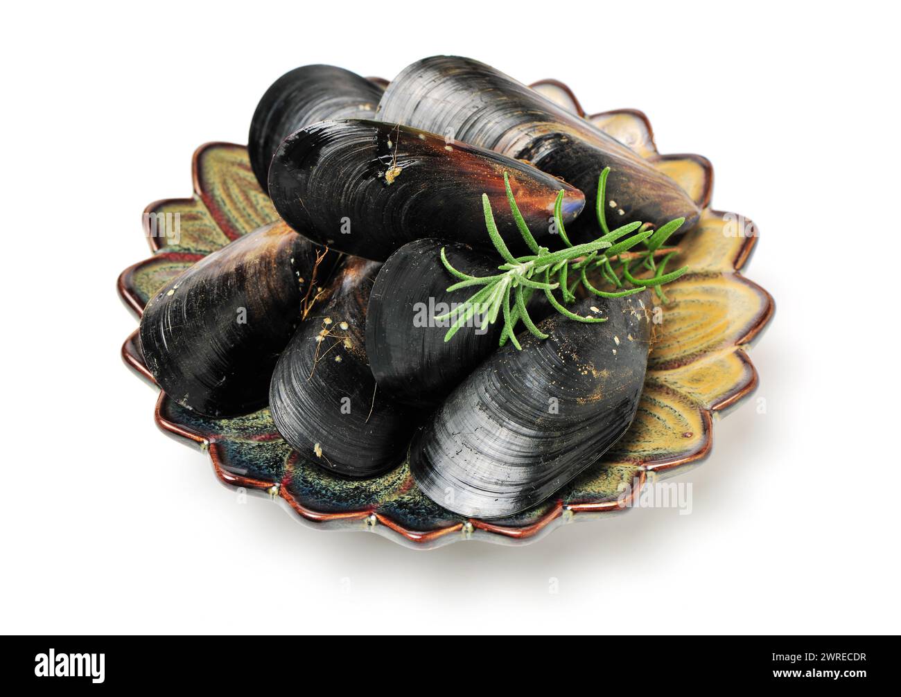 Fresh mussel on white background Stock Photo - Alamy