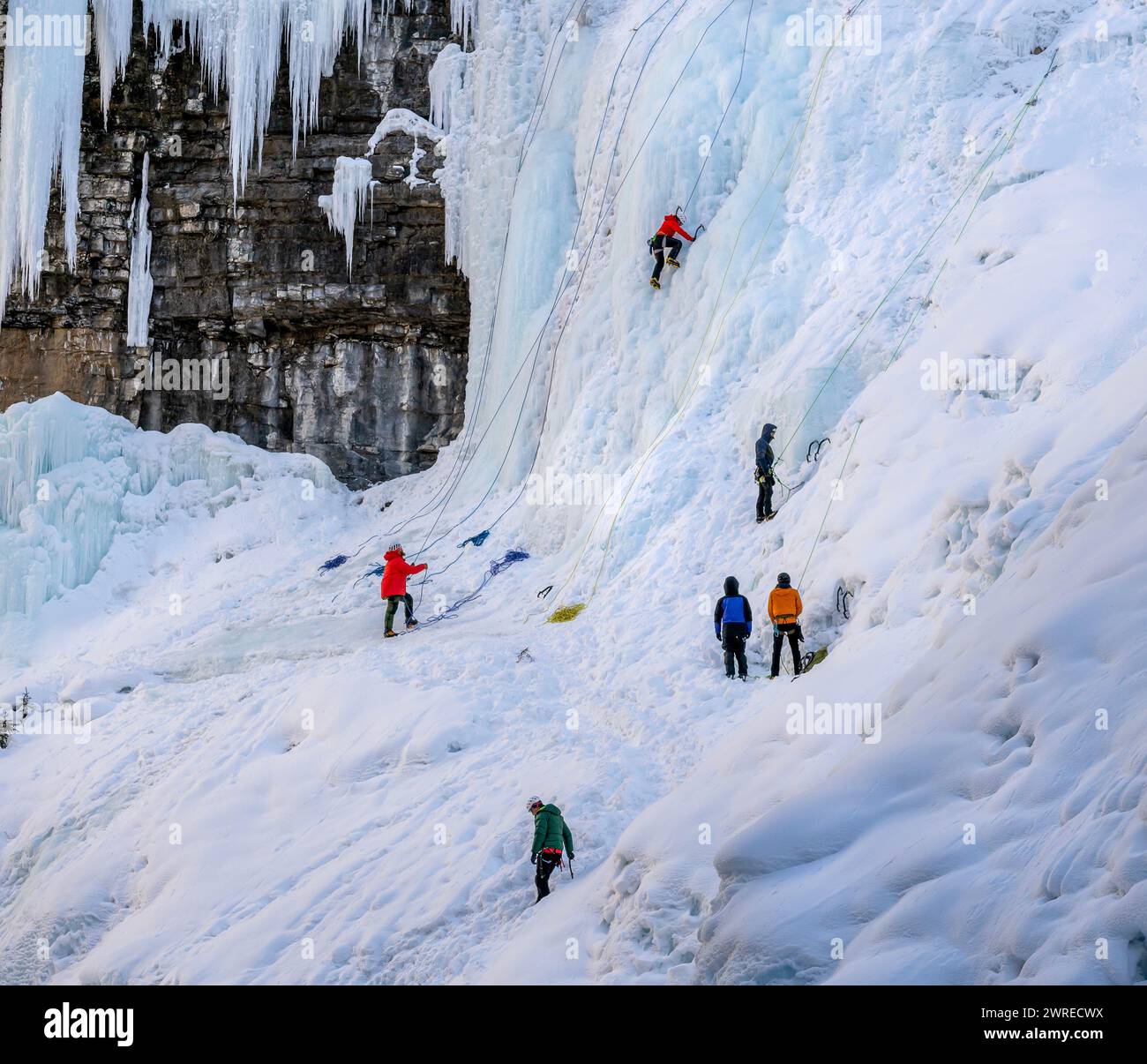 Banff National Park, Alberta, Canada – March 07, 2024: A group of ...