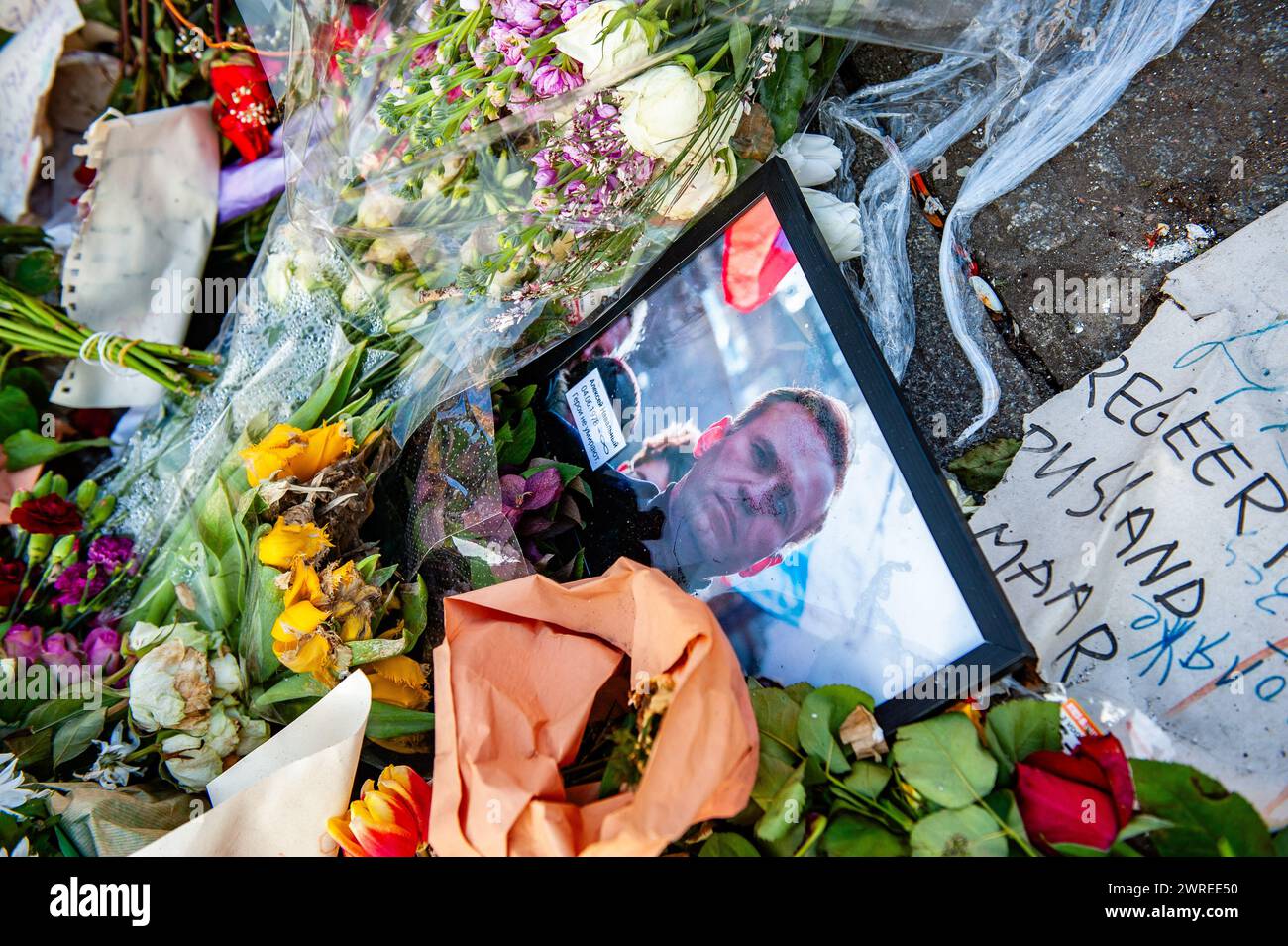 A portrait of Alexei Navalny is seen surrounded by flowers and candles ...