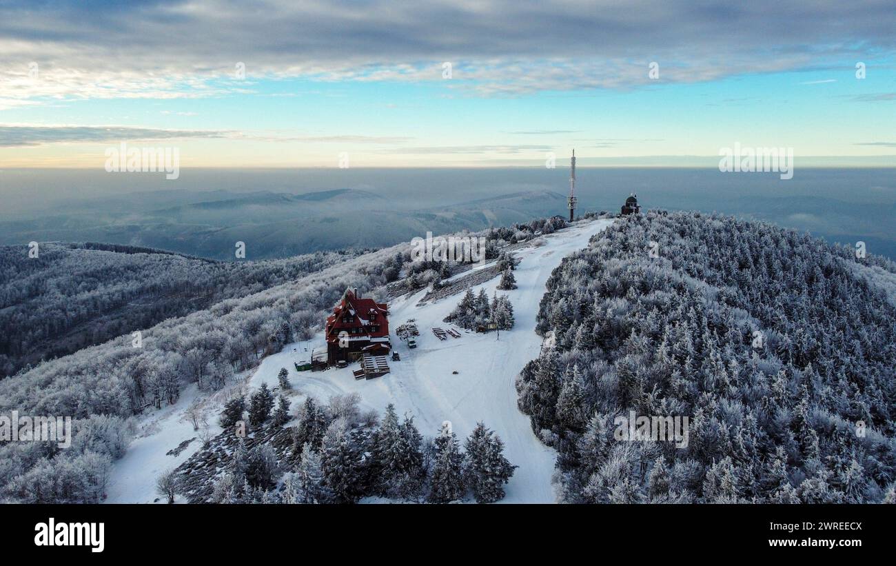 Bohemian fores hi-res stock photography and images - Alamy