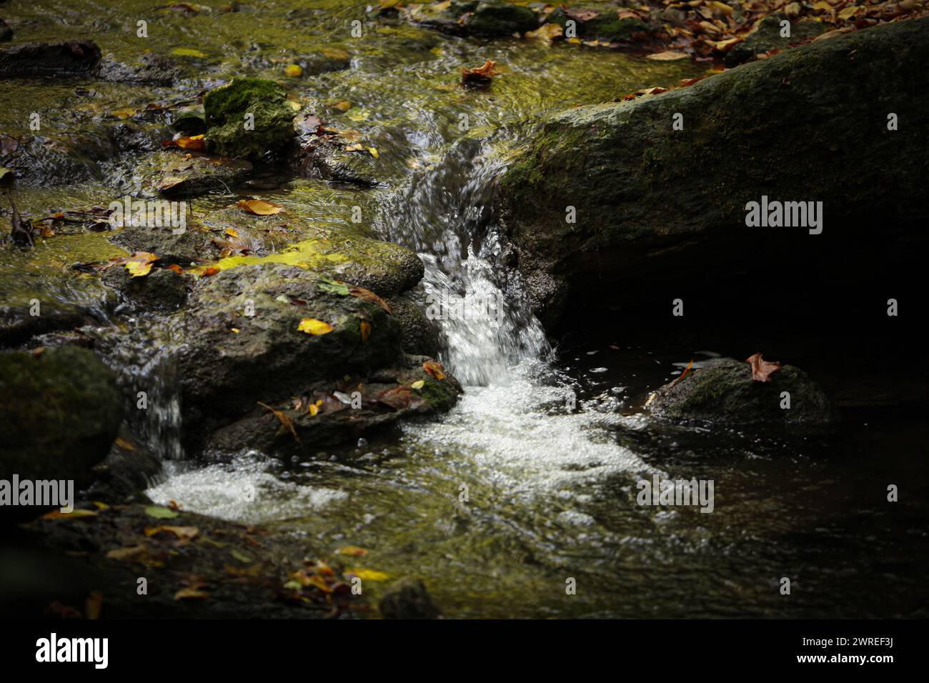 Refreshed small brook river stream flowing over gravel bed with ...
