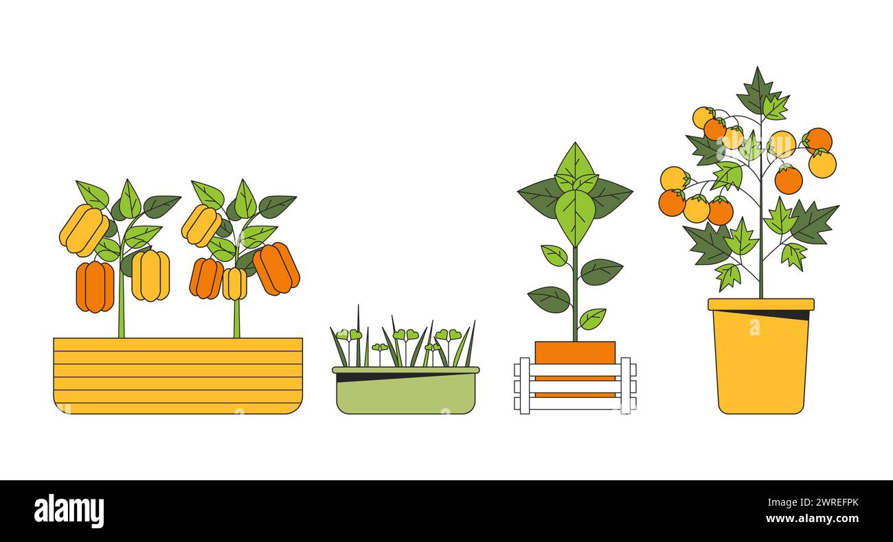 Veggies plants in pots 2D linear cartoon objects set Stock Vector Image ...