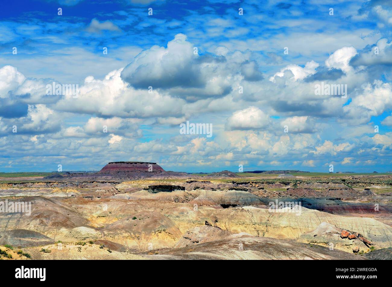 Alien landscape of the ancient petrified forest national park in ...