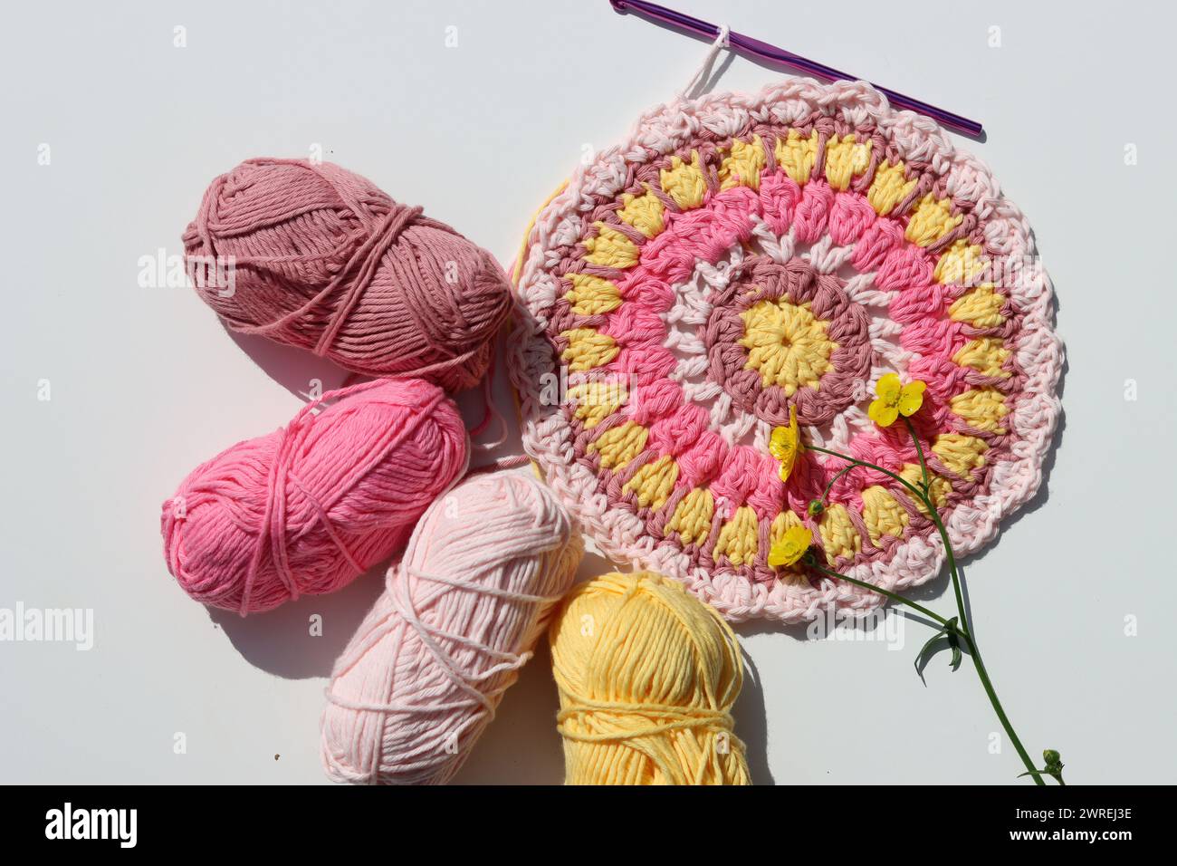 Crochet hobby concept. Handmade decorative ornament made of cotton ...