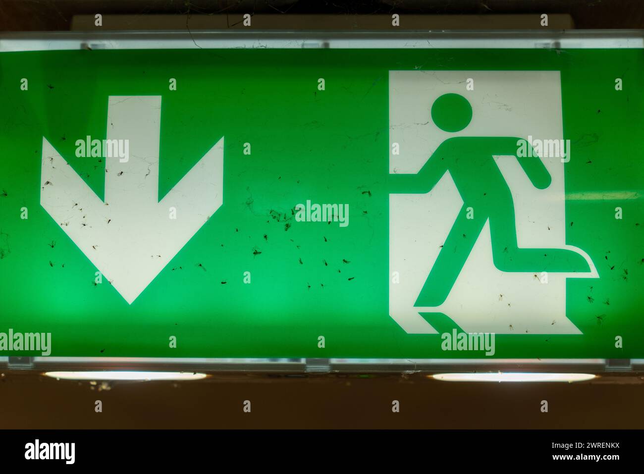 Illuminated green exit sign with integrated lights. Dead insects and ...