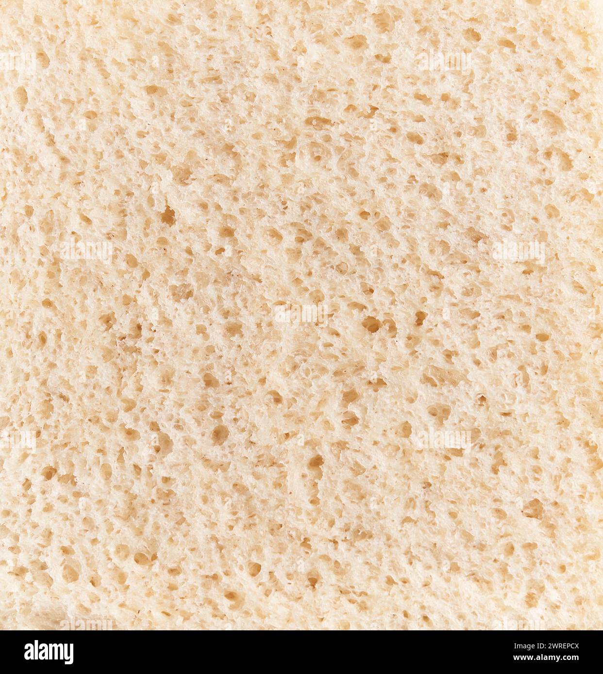 Close-up texture of a piece of white bread, emphasizing its porous ...