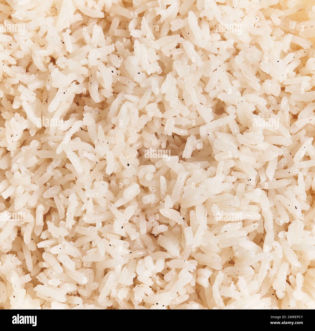Close-up texture of cooked white rice, suitable for culinary ...