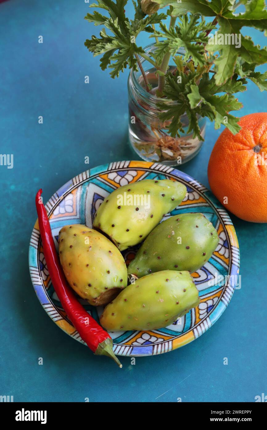 Opuntia cactus fruit close up photo. Eastern Prickly Pear on a blue ...