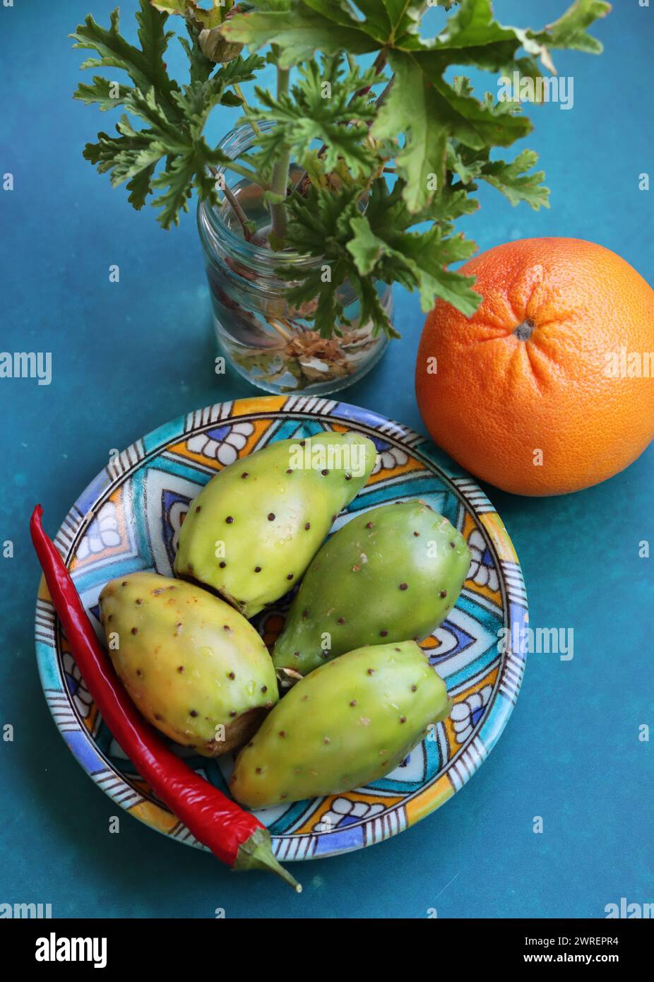 Opuntia cactus fruit close up photo. Eastern Prickly Pear on a blue ...