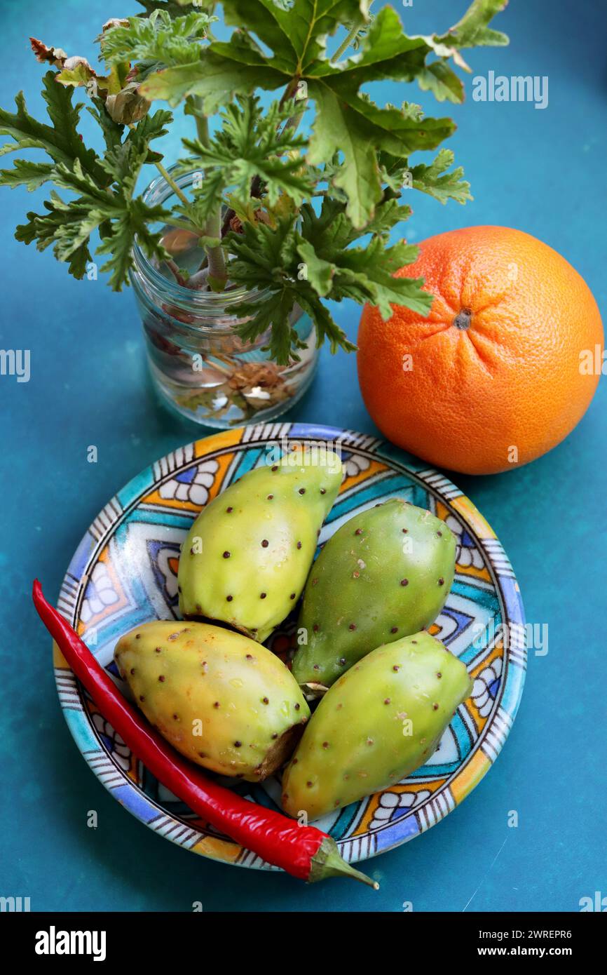Opuntia cactus fruit close up photo. Eastern Prickly Pear on a blue ...