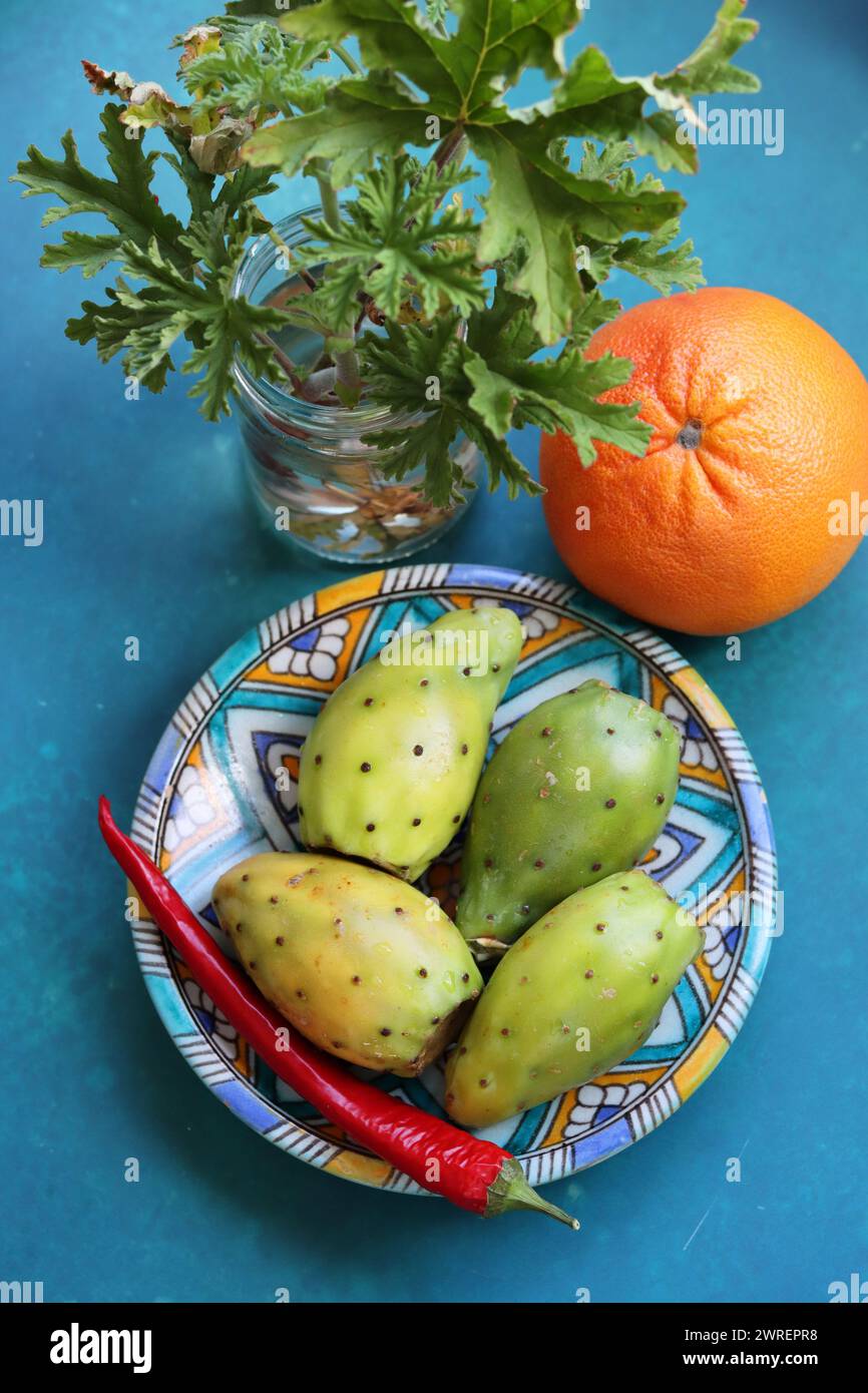 Opuntia cactus fruit close up photo. Eastern Prickly Pear on a blue ...