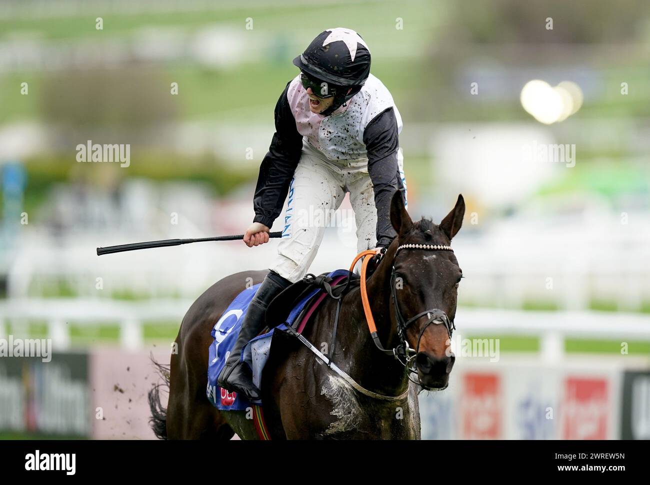 Slade Steel ridden by Rachael Blackmore winning the Sky Bet Supreme ...
