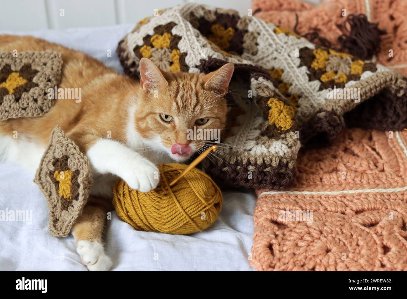Cute ginger cat laying on the bed with a ball of yarn and crochet hook. Cat playing with with ...