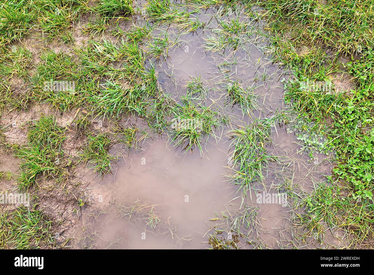 Continuous rain hi-res stock photography and images - Alamy