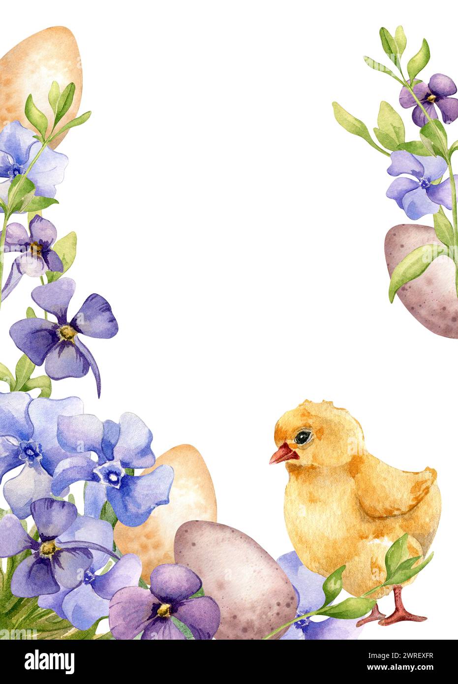 Easter frame of watercolor blue spring flowers and chick isolated on ...