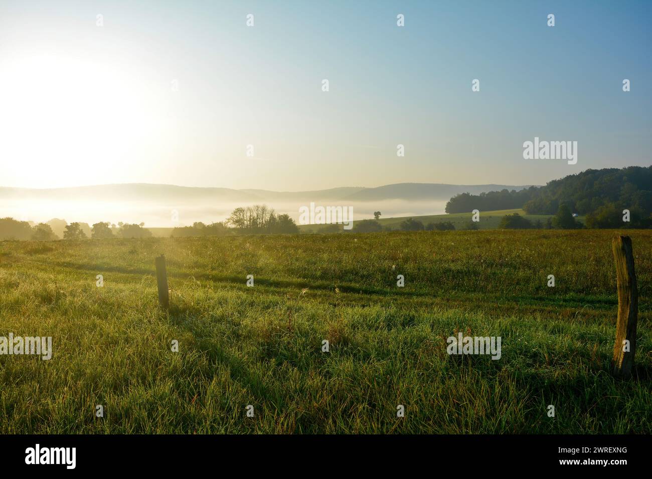 Green landscape on an early morning with fog and the sun Stock Photo ...