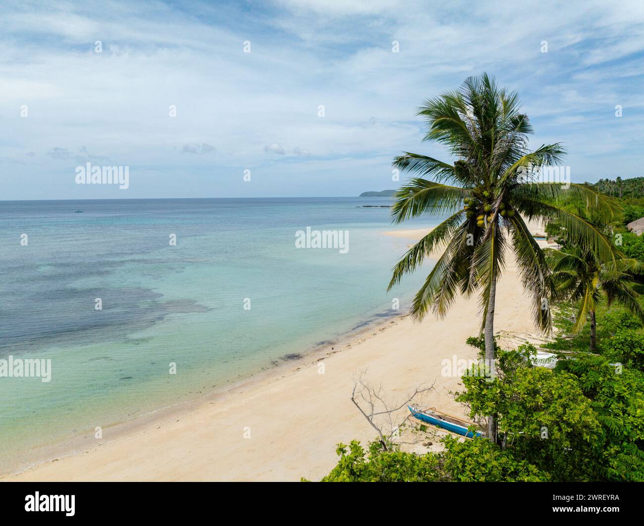 Coastline with coconut trees and white sandy beach with clear ocean ...