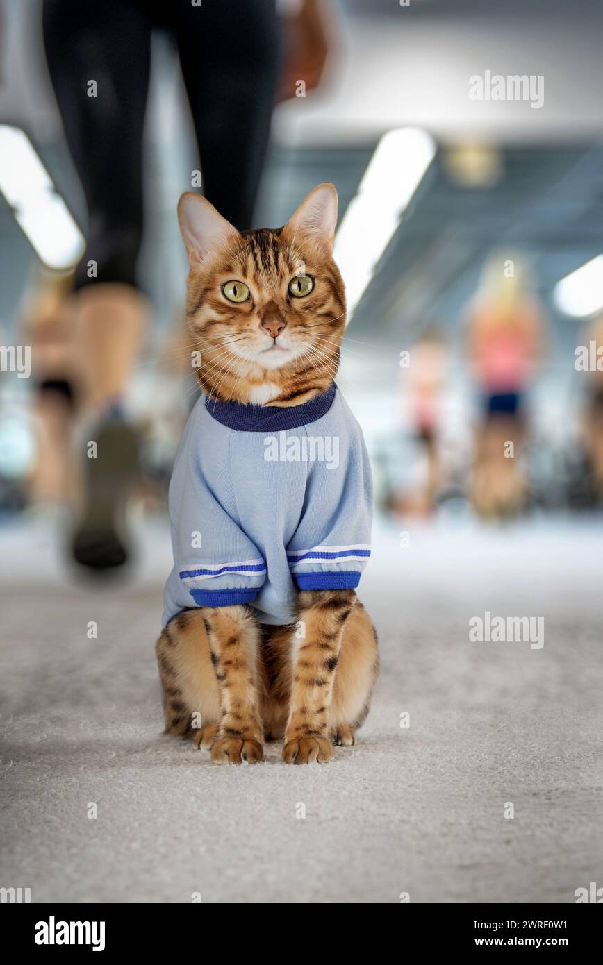 Group fitness training hi-res stock photography and images - Alamy