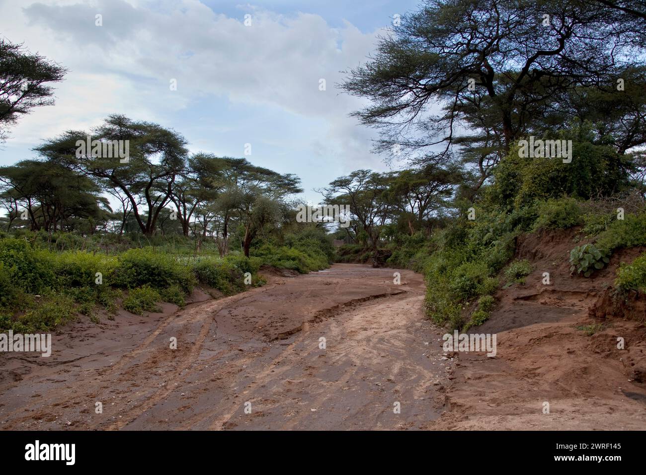 Cracked dried river clay bed hi-res stock photography and images - Alamy