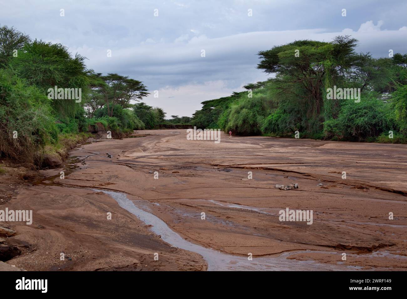 The dried-up African river in Omo's valley, Ethiopia Stock Photo - Alamy