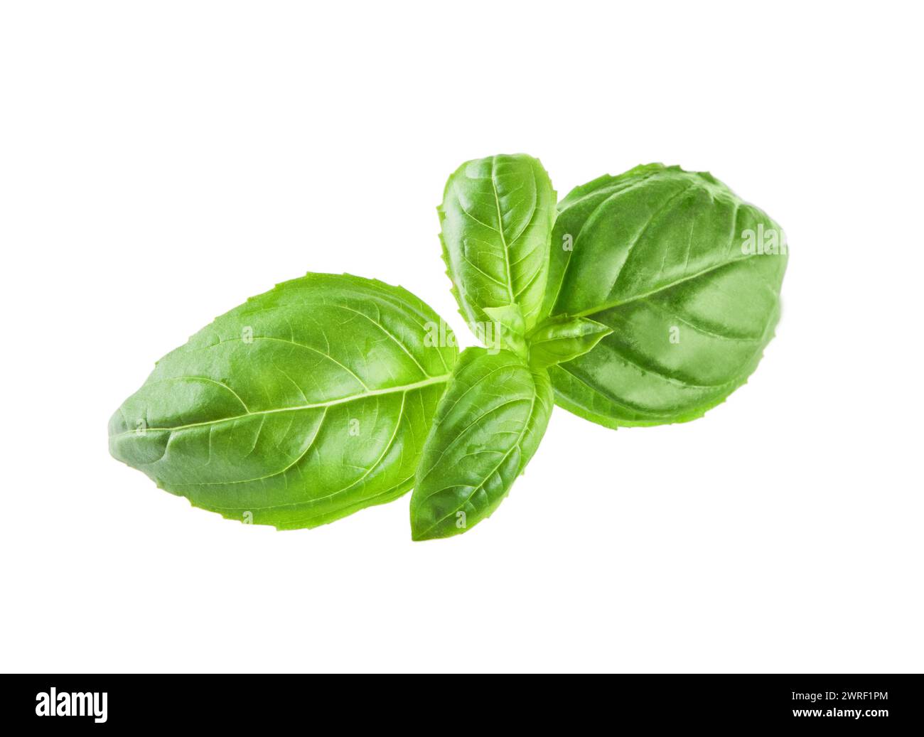 Sel image Cut Out Stock Images & Pictures - Alamy