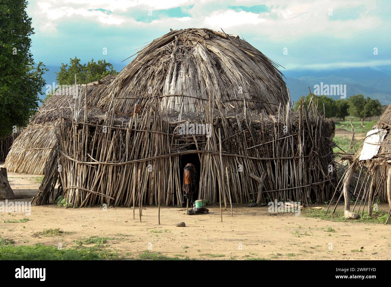 Houses of people from a tribe Hamer Stock Photo - Alamy