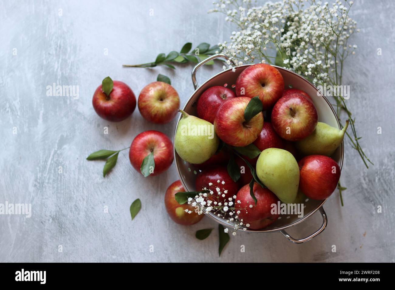 Shiny red apples in white colander. Close up photo of organic fruit on ...