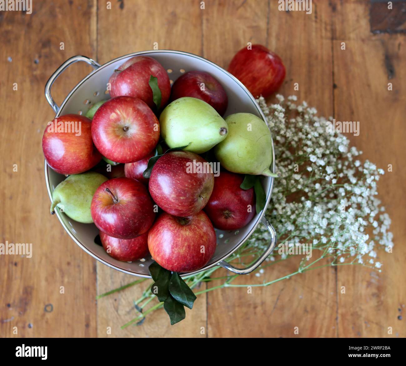 Shiny red apples in white colander. Close up photo of organic fruit on ...