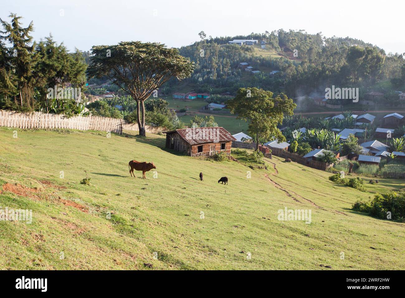 View of an African village with small huts Stock Photo - Alamy