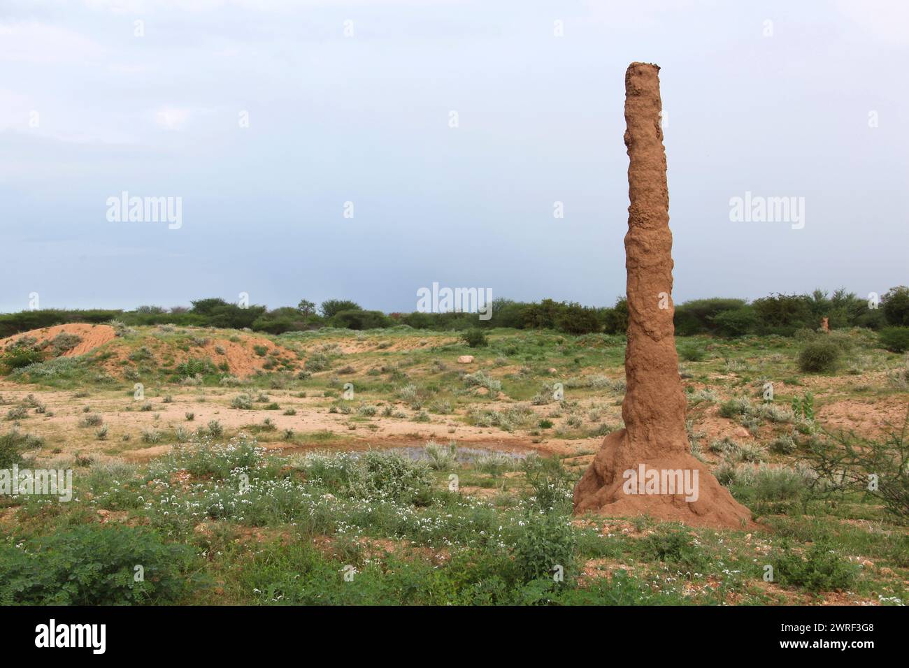 African landscape with termitary in Ethiopia Stock Photo - Alamy