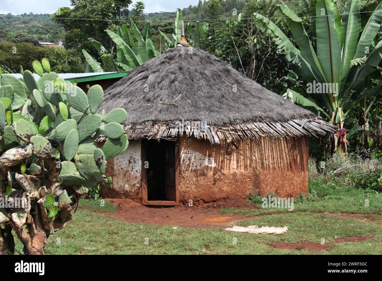 Traditional Ethiopian house. Omo Rift Valley. Ethiopia. Africa Stock ...