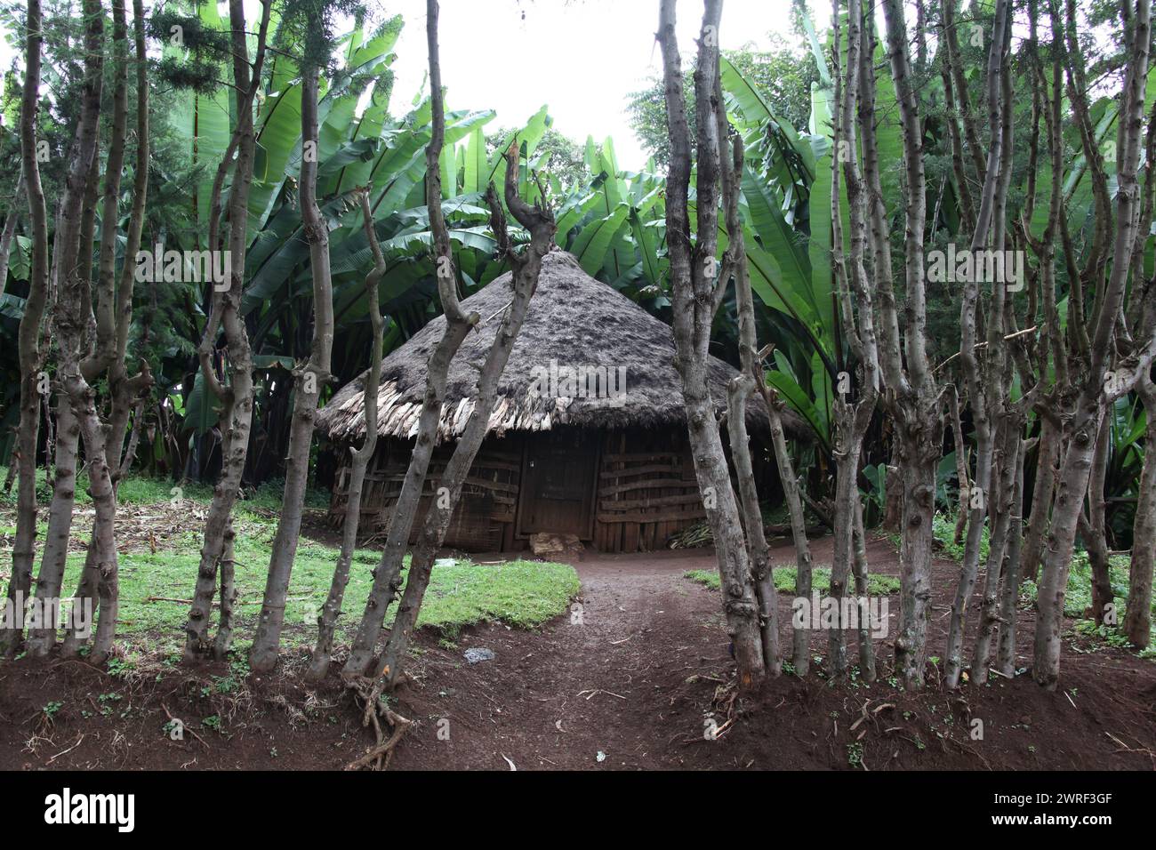 Traditional Ethiopian house. Omo Rift Valley. Ethiopia. Africa Stock ...