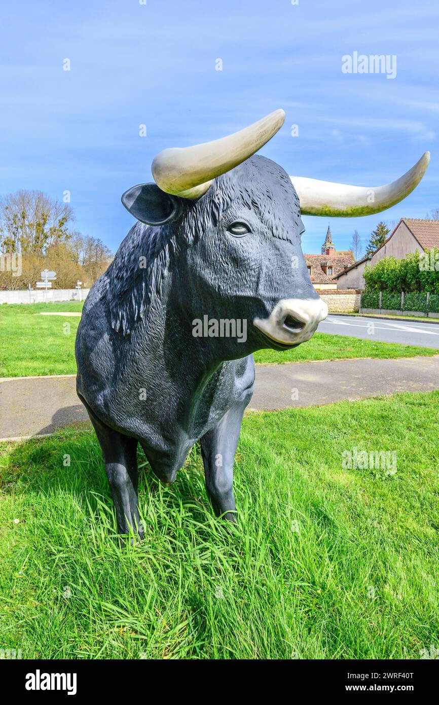 Life-size model of black bull on display outside butcher's shop ...