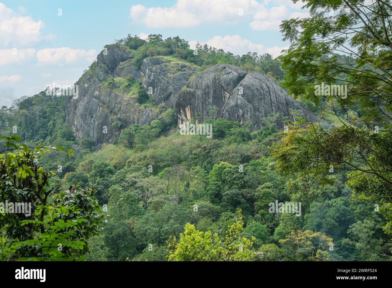 Sri Lanka landscapes nature background. beautiful mountains covered ...