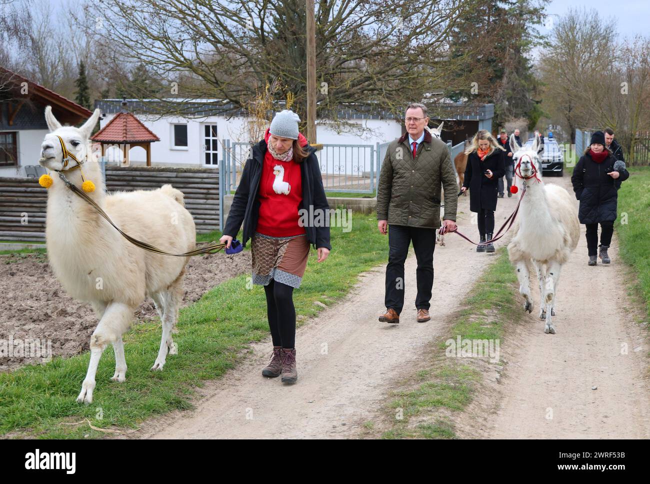 Bodo Ramelow besucht die Unstrut-Lamas 12.03.2024, Herbsleben ...