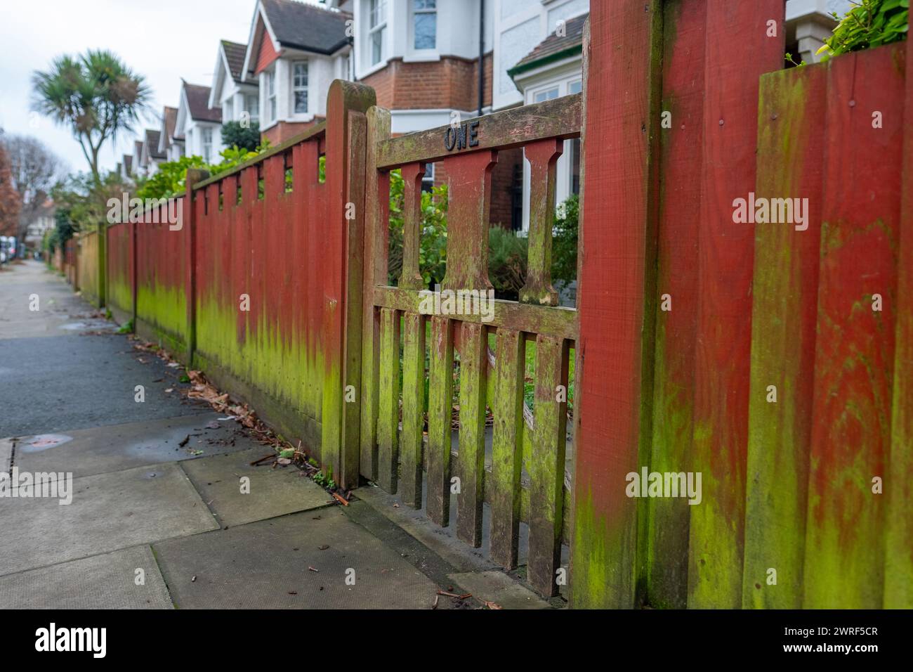 Fence on UK residential fence with green algae Stock Photo - Alamy