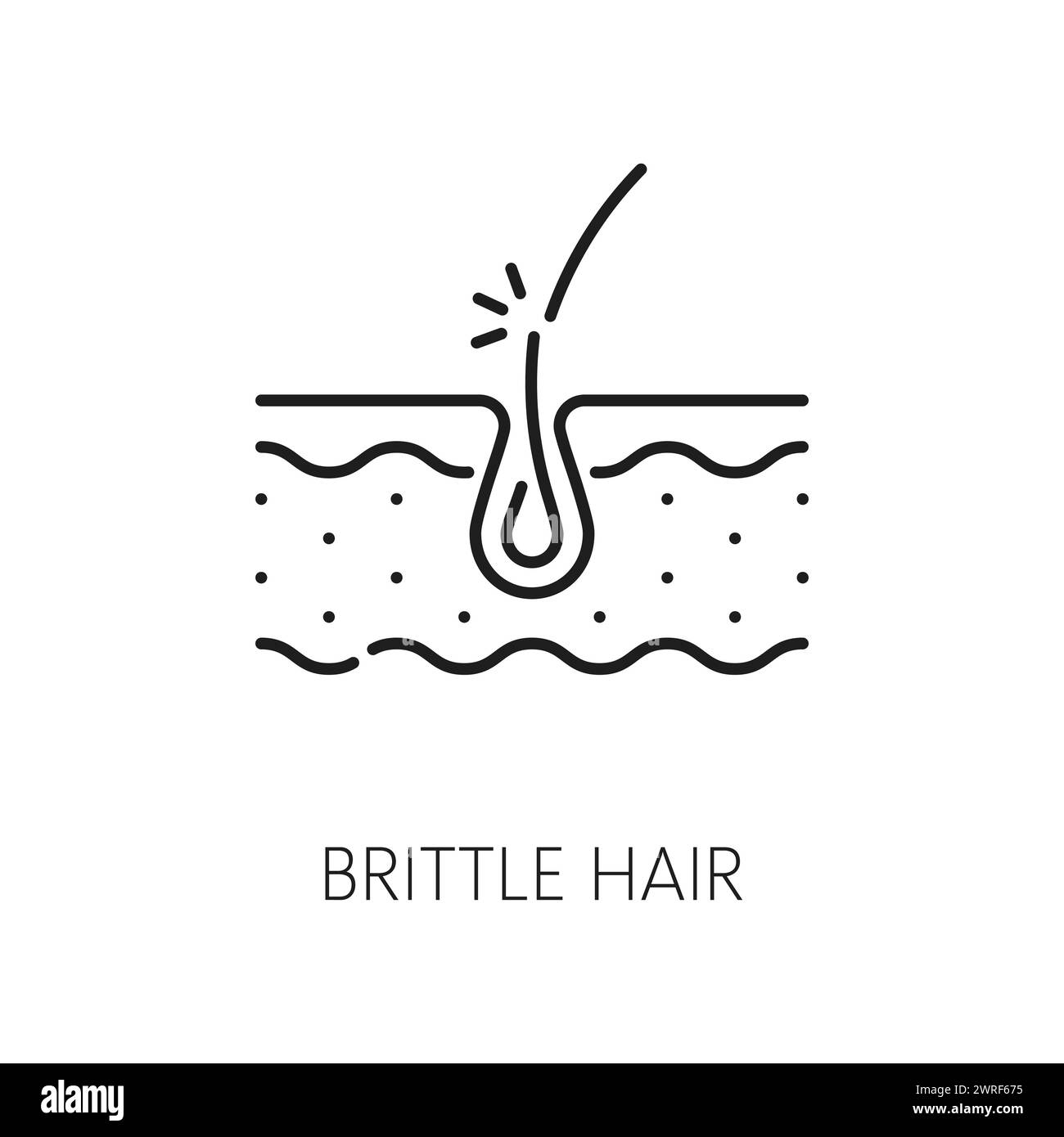 Brittle Hair Treatment Woman Health Skin Care Line Icon Hair Health Styling And Grow Spa