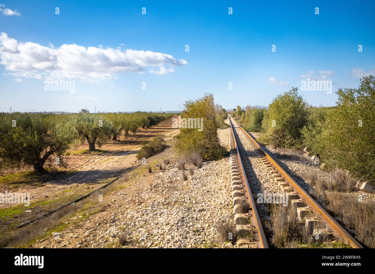 Tunisian agriculture hi-res stock photography and images - Alamy