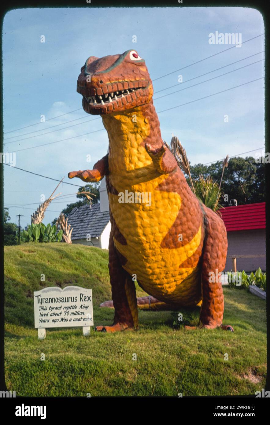 Vintage Americana Photography. Roadside Attractions. Wacky Golf ...