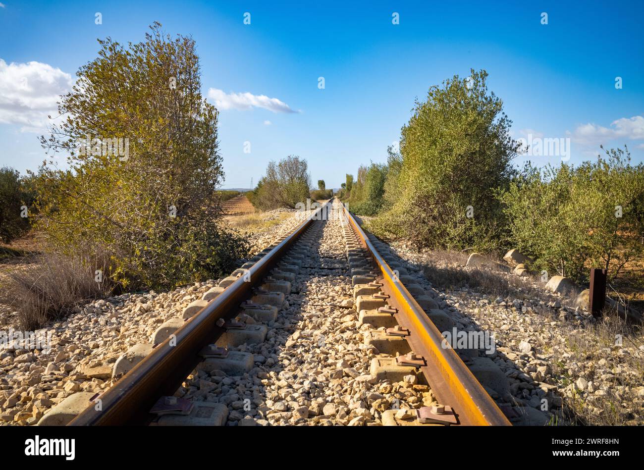 A Tunisian railway line running through an olive grove near Enfidha ...