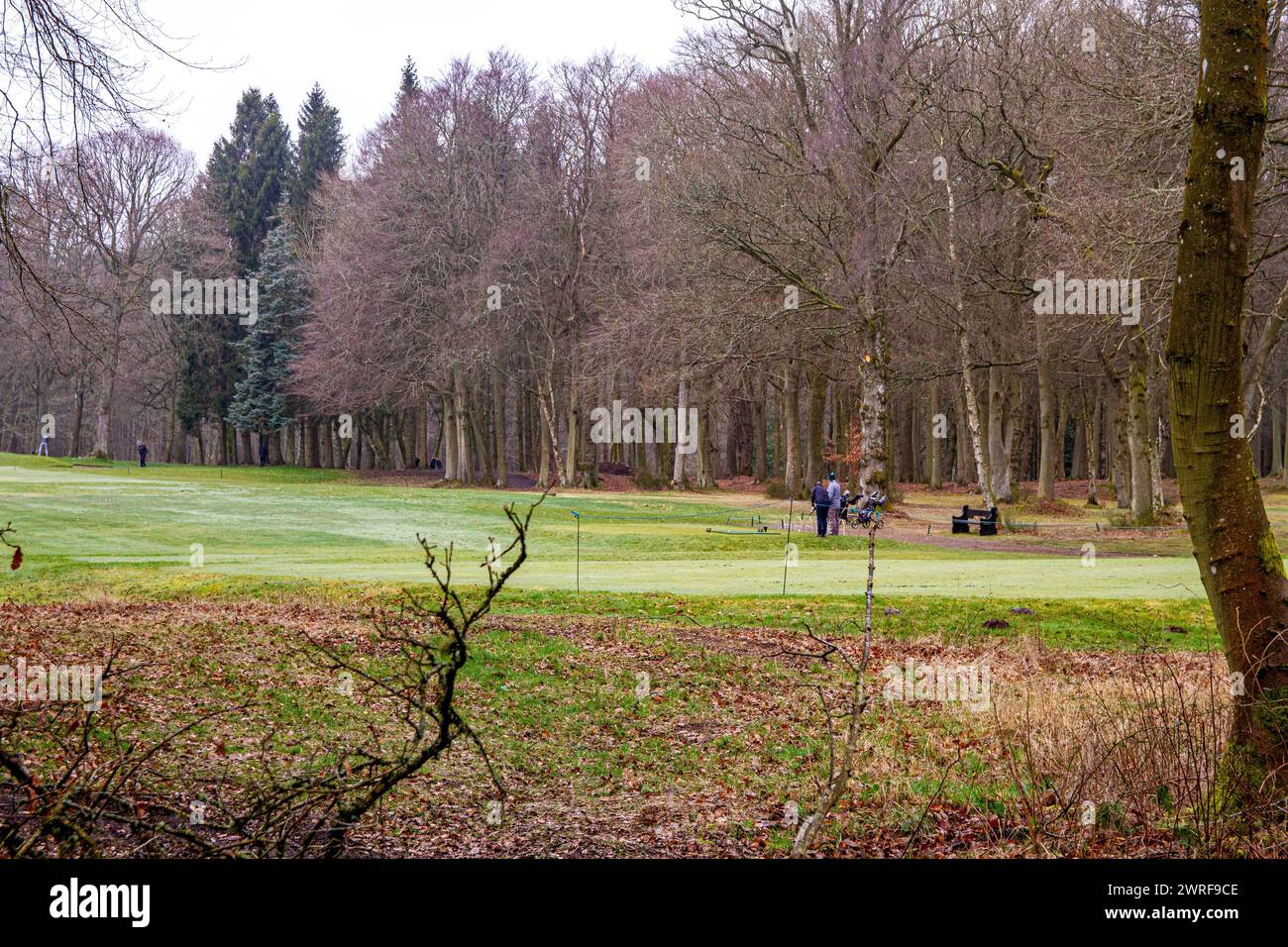 Damp misty haze surrounds Dundee Templeton Woods and Downfield Golf ...