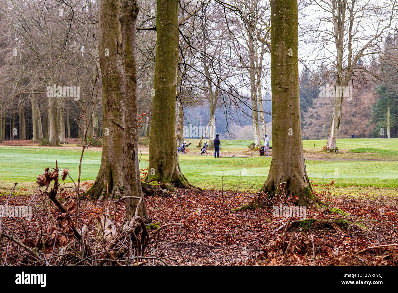 Damp misty haze surrounds Dundee Templeton Woods and Downfield Golf ...